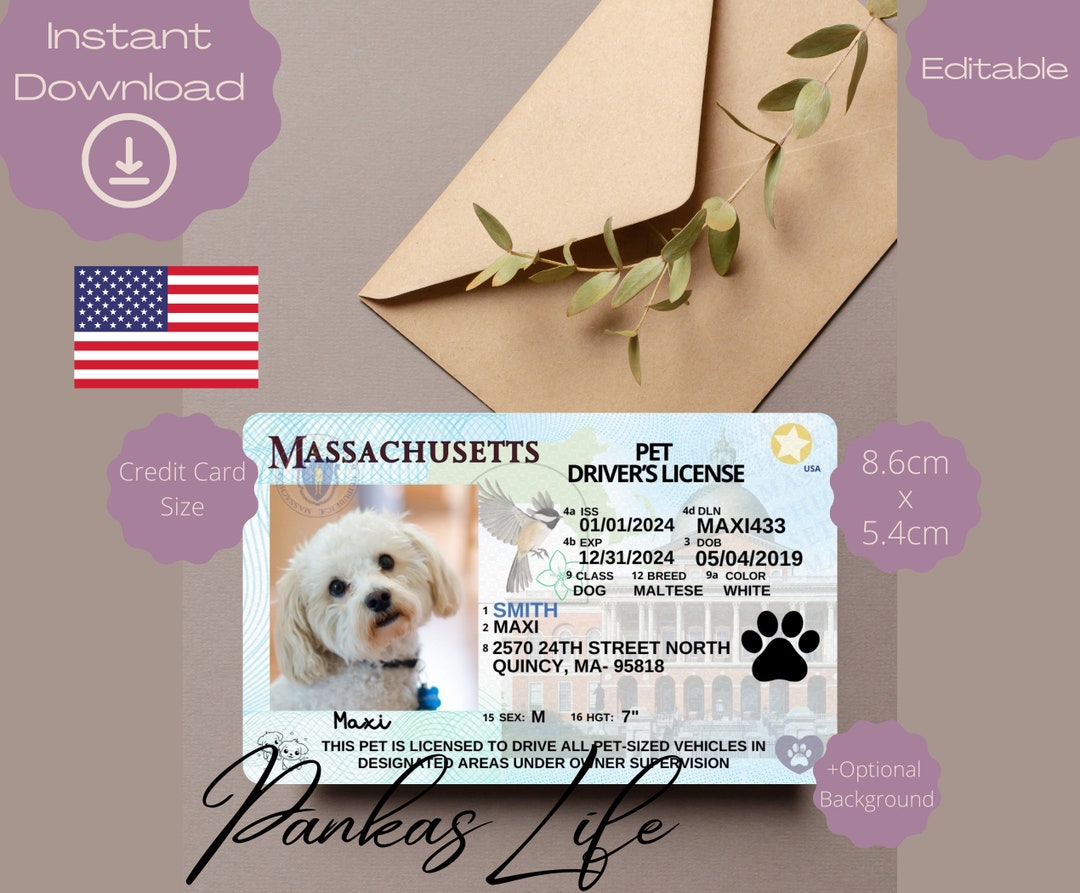 Editable Pretend Play Usa Driver License for Pets, Massachusetts ...