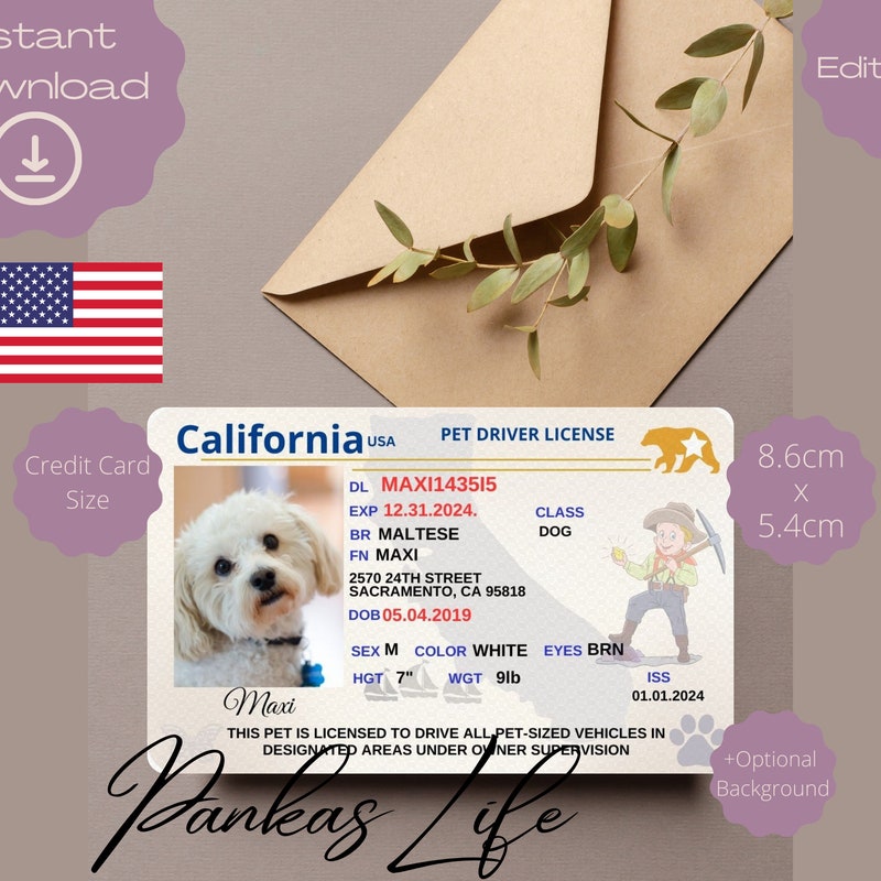 Dog Driver License - Etsy