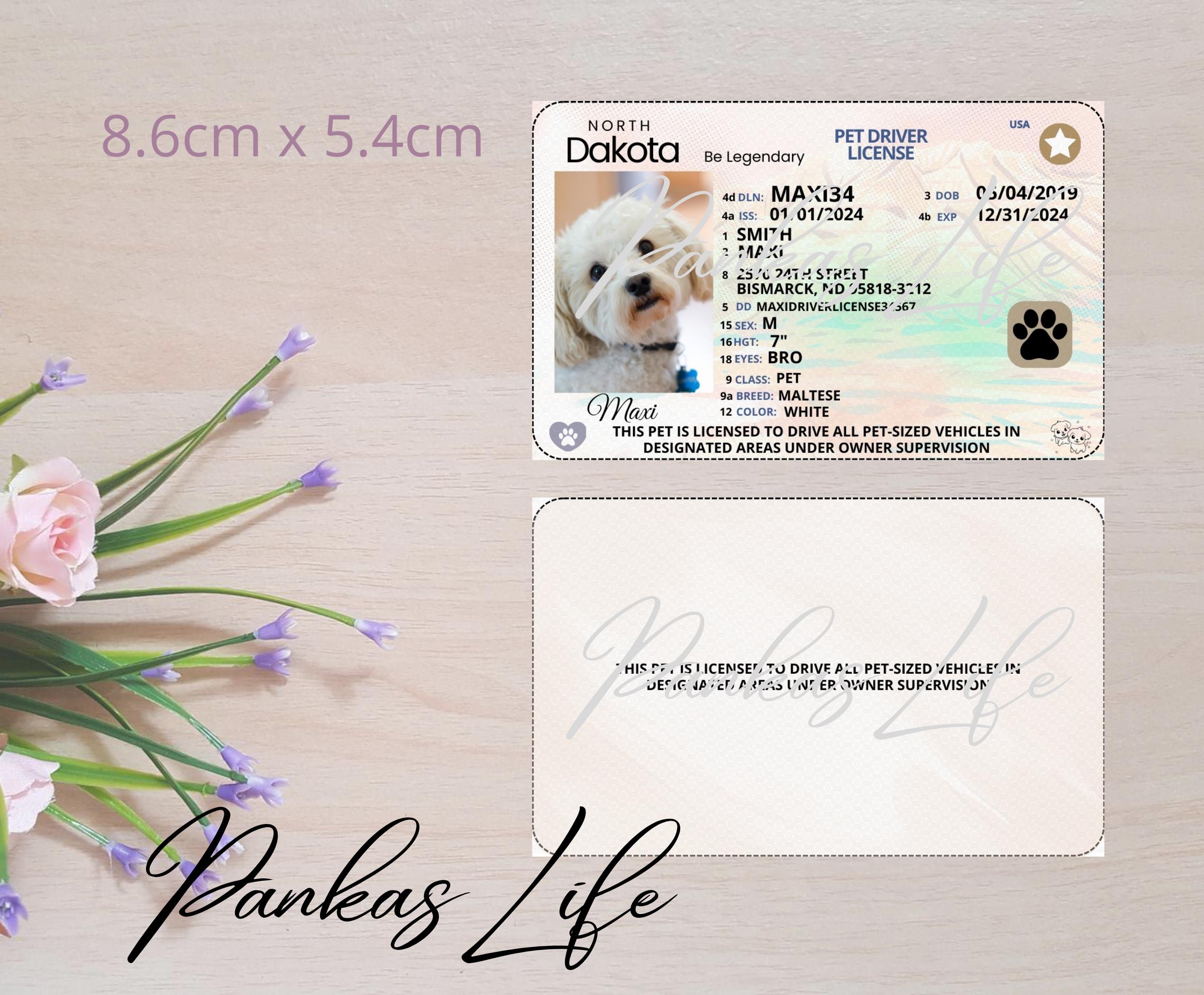Editable Pretend Play Usa Driver License for Pets, North Dakota Driving ...