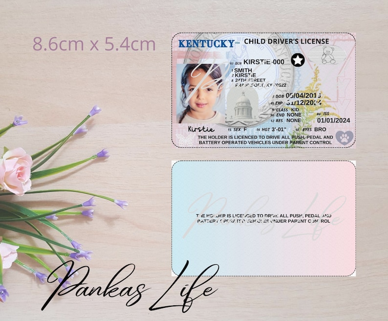 Pretend Play Usa Driver License for Kids, Kentucky Driving Licence ...