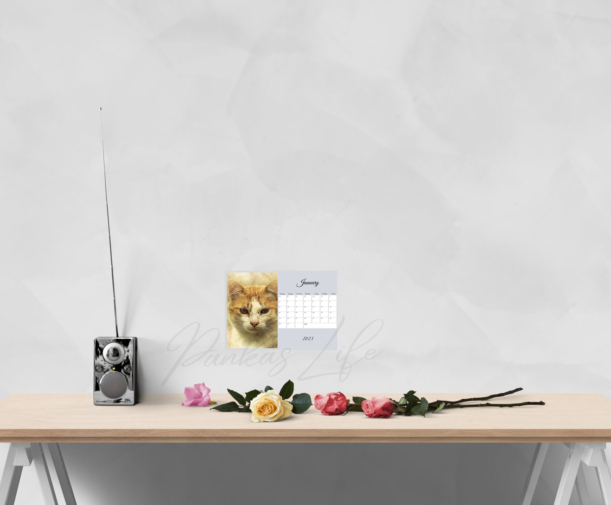 2023 Printable Cat Calendar Monthly Large Wall Calendar 12 - Etsy