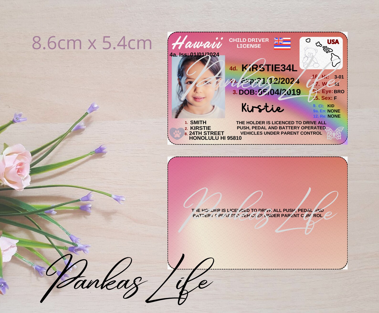 Pretend Play Usa Driver License for Kids, Hawaii Driving Licence ...