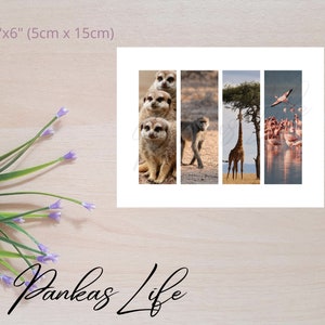 Safari Animals Printable Bookmarks for Gift Tags, Safari Nursery Decor ...