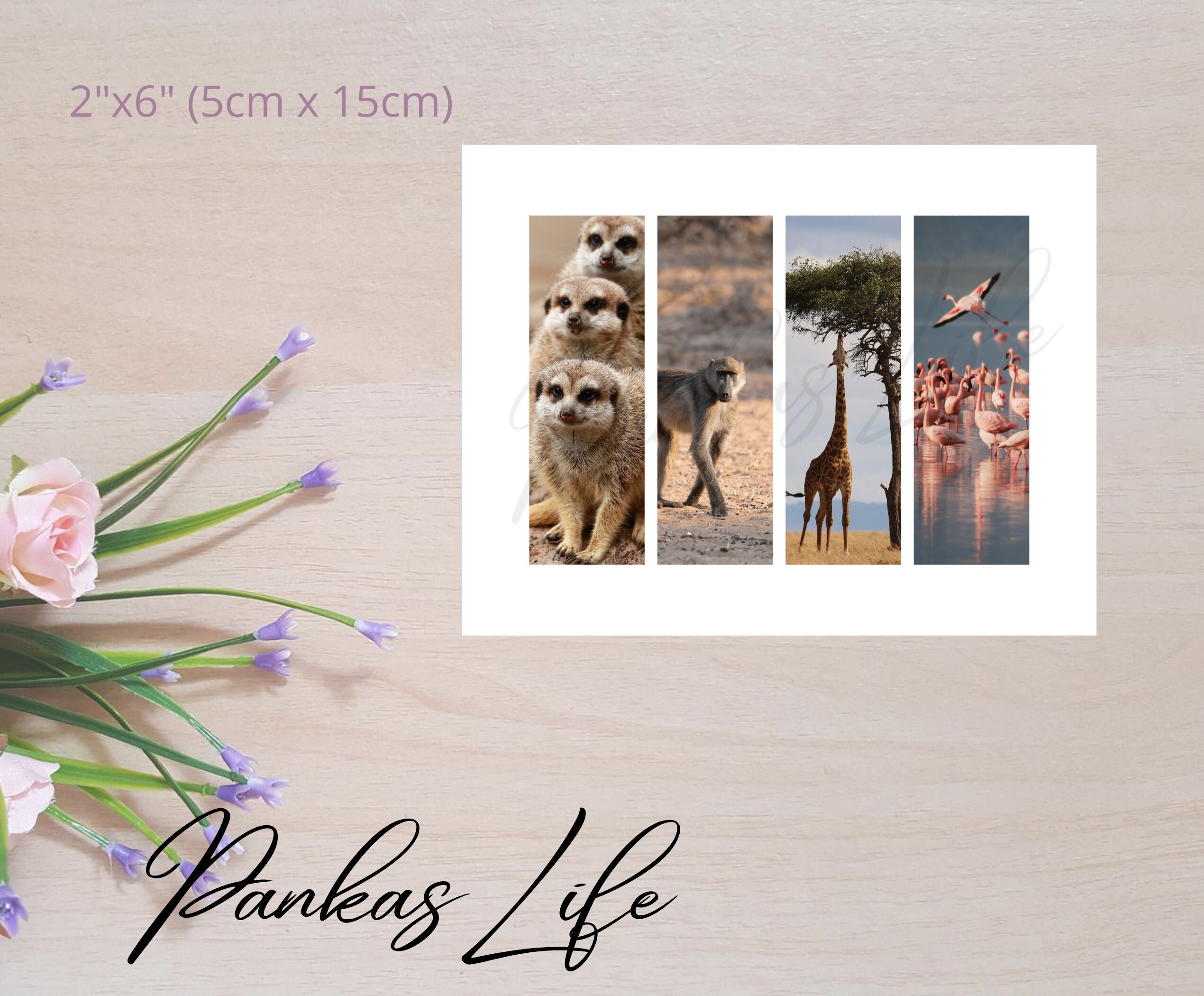 Safari Animals Printable Bookmarks for Gift Tags, Safari Nursery Decor ...