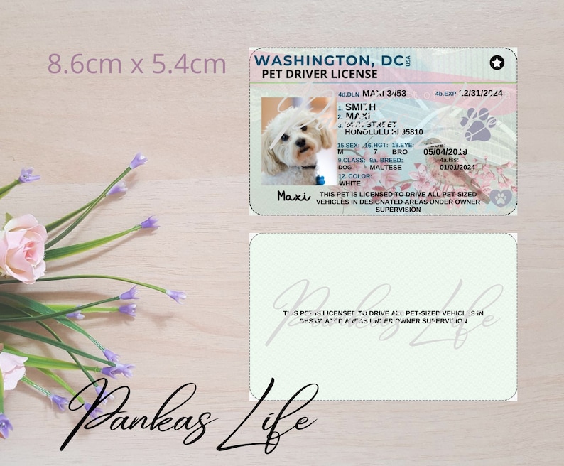 Editable Pretend Play Usa Driver License for Pets Washington DC Driving ...