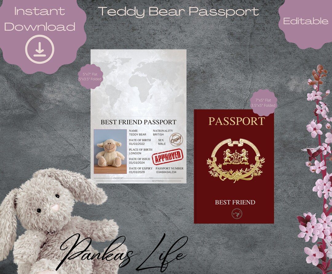 Teddy Bear Best Friend Passport Travel Accesories Editable Pretend Play ...
