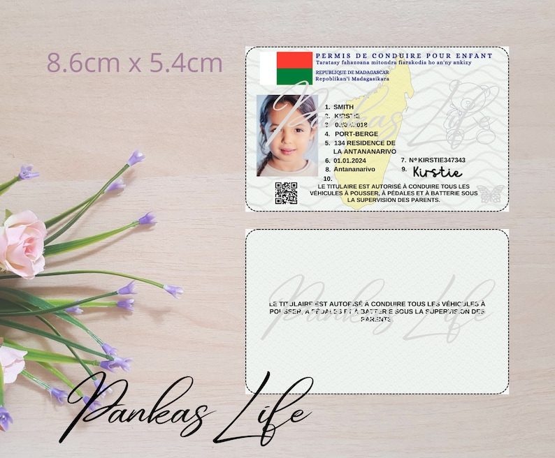 Madagascar Pretend Play Driver Licence for Kids, Driving Licence ...