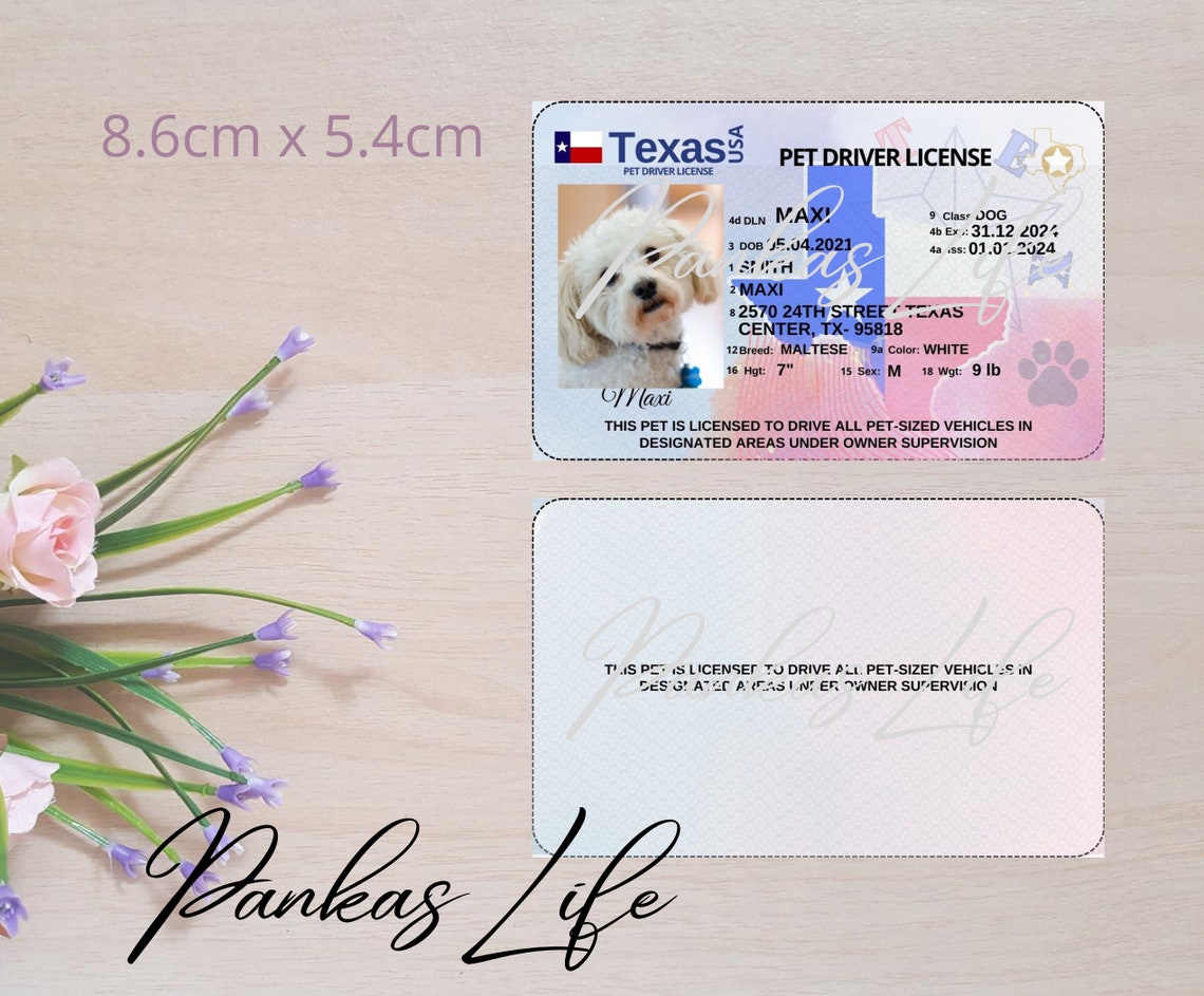 Editable Pretend Play Usa Driver Licence for Pets, Texas Driving ...