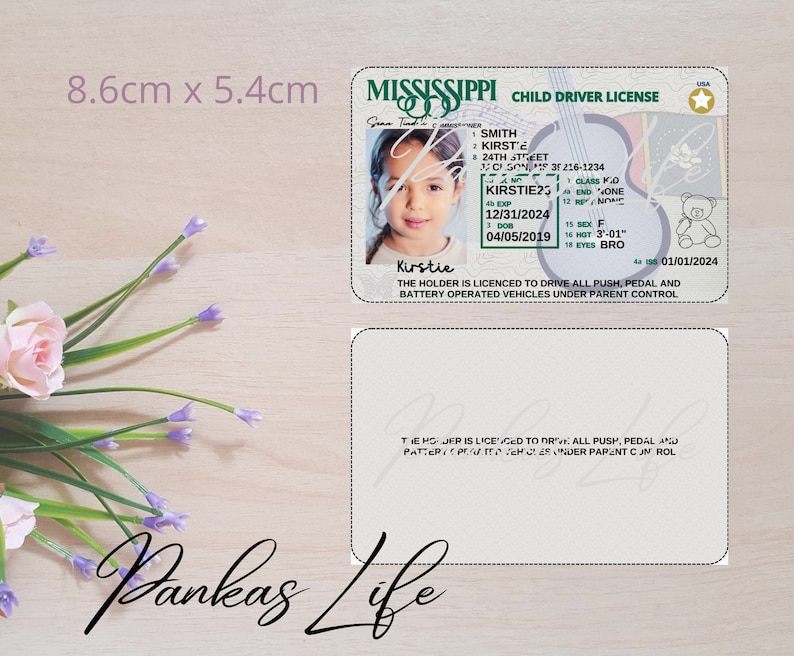 Pretend Play Usa Driver License for Kids, Mississippi Driving Licence ...