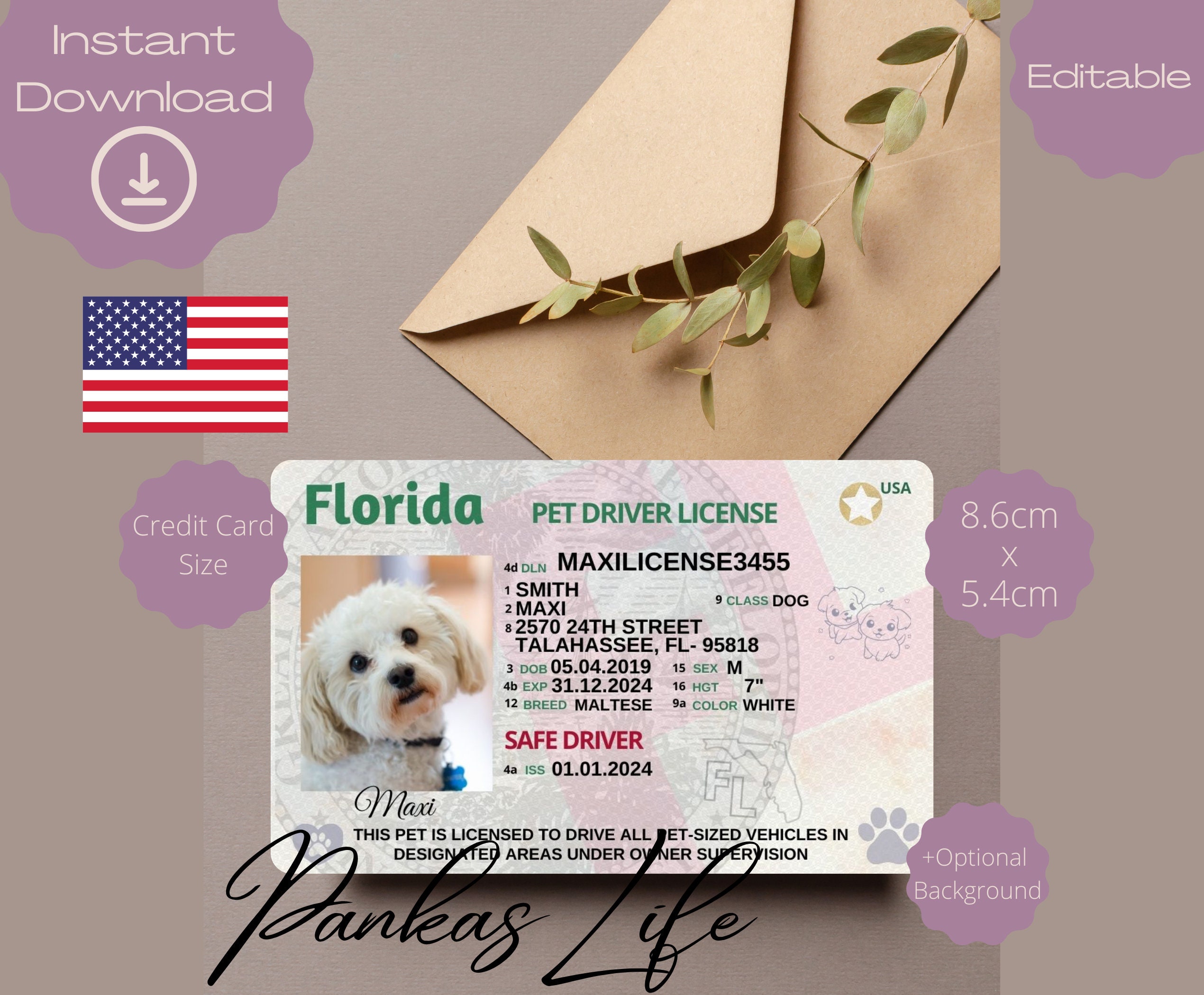 Editable Pretend Play Usa Driver Licence for Pets, Florida Driving ...