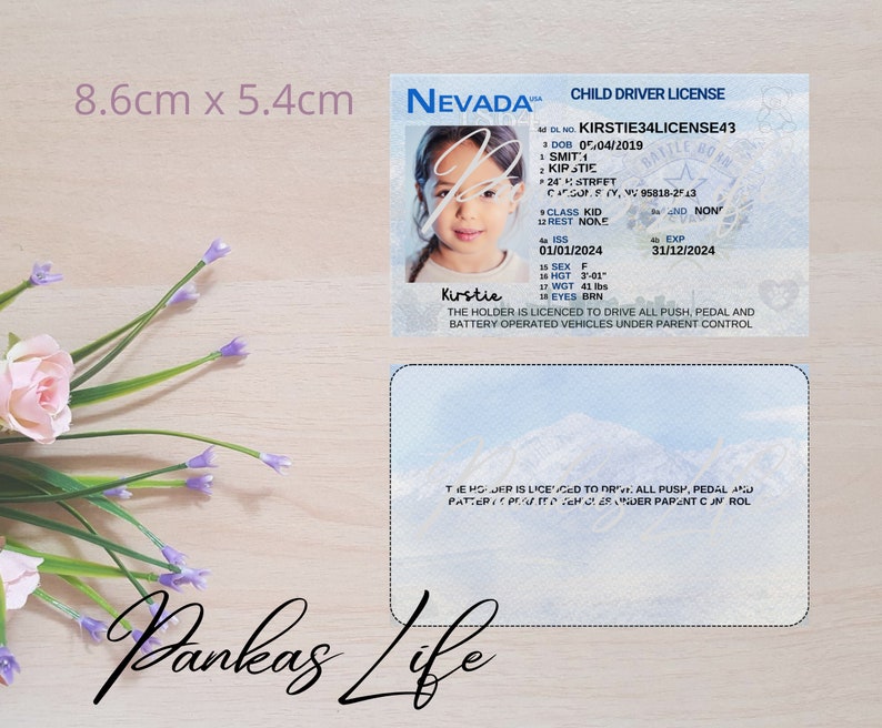 Pretend Play Usa Driver License for Kids, Nevada Driving Licence ...