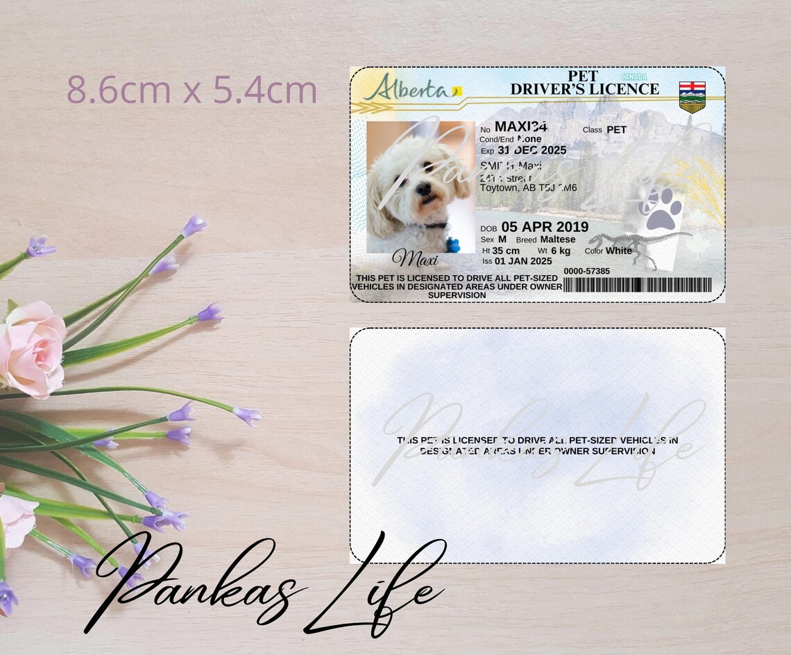 Editable Pretend Play Alberta Driver Licence for Pets Canada Driving ...