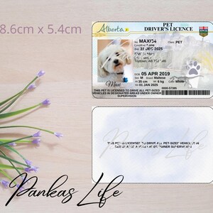 Editable Pretend Play Alberta Driver Licence for Pets Canada Driving ...