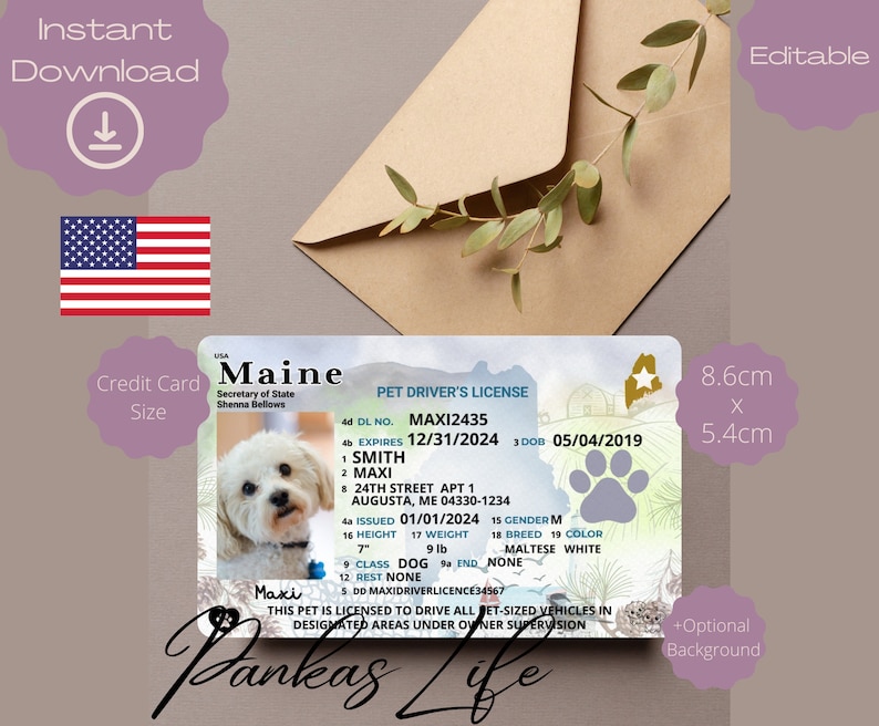 Editable Pretend Play Usa Driver License for Pets, Maine Driving ...