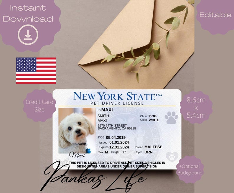 Editable Pretend Play Usa Drivers License for Pets, New York Driver ...