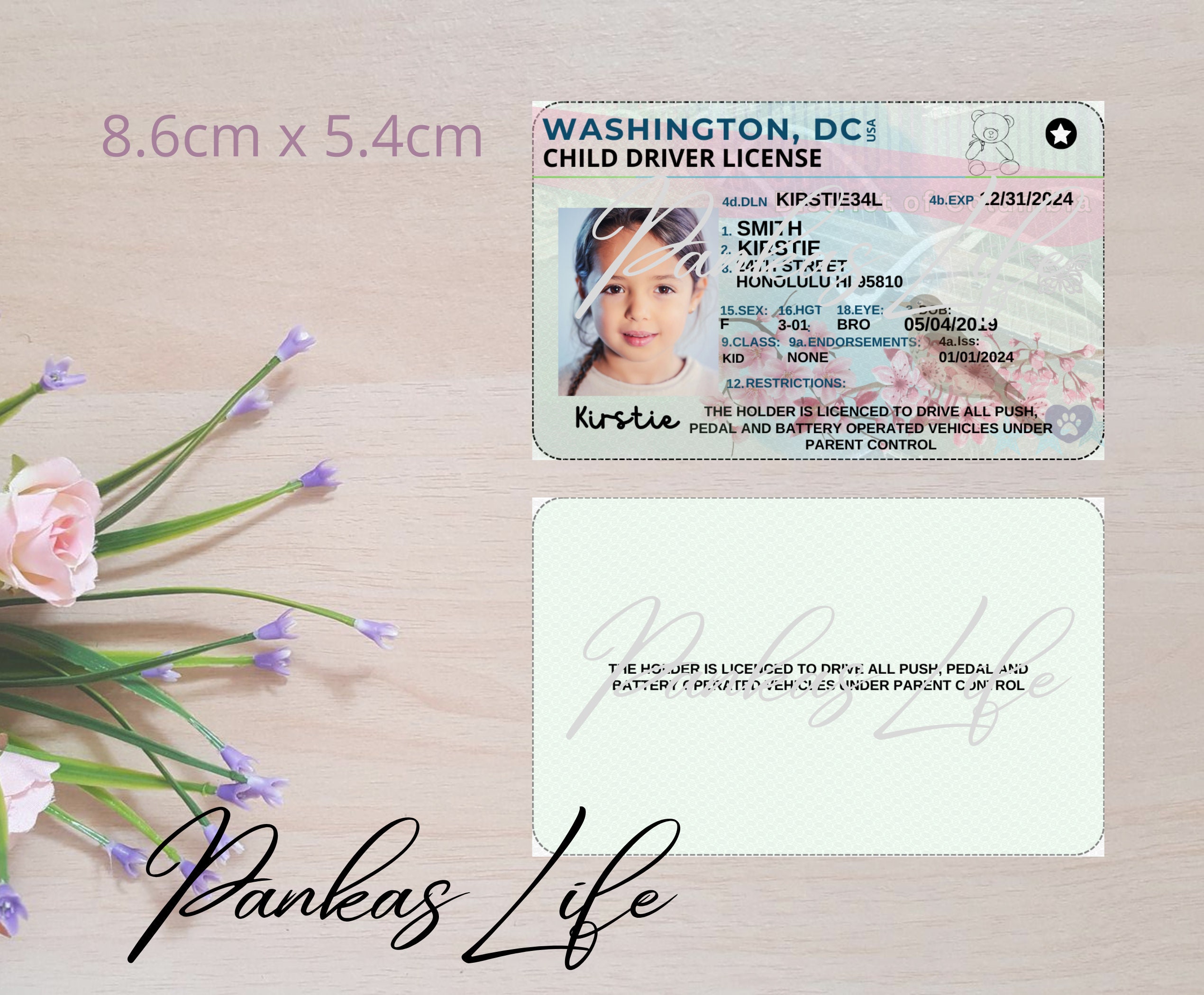 Pretend Play Usa Driver License for Kids, Washington DC Driving Licence ...