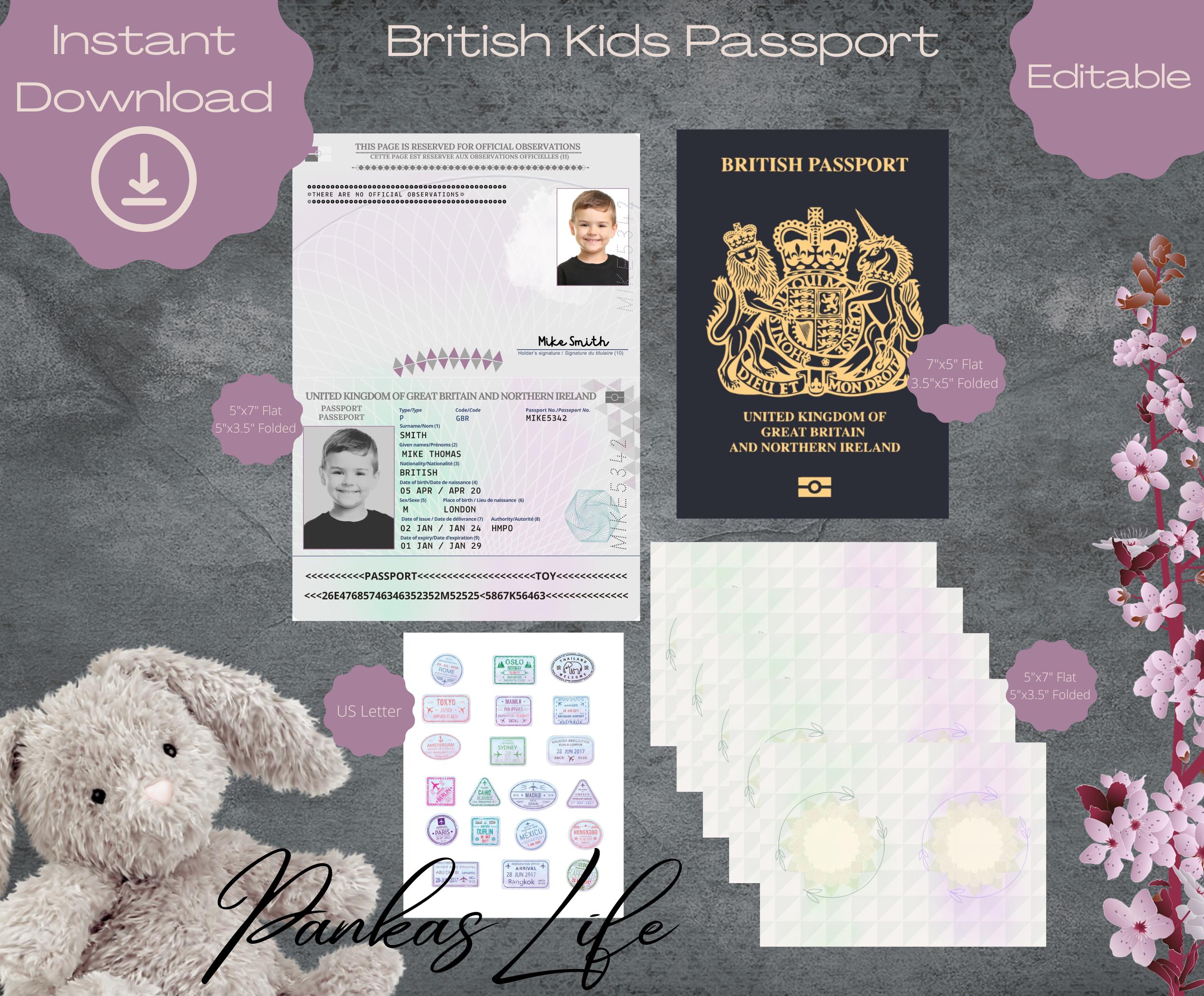 Passport Inside Template Passport Template Stock Illustrations