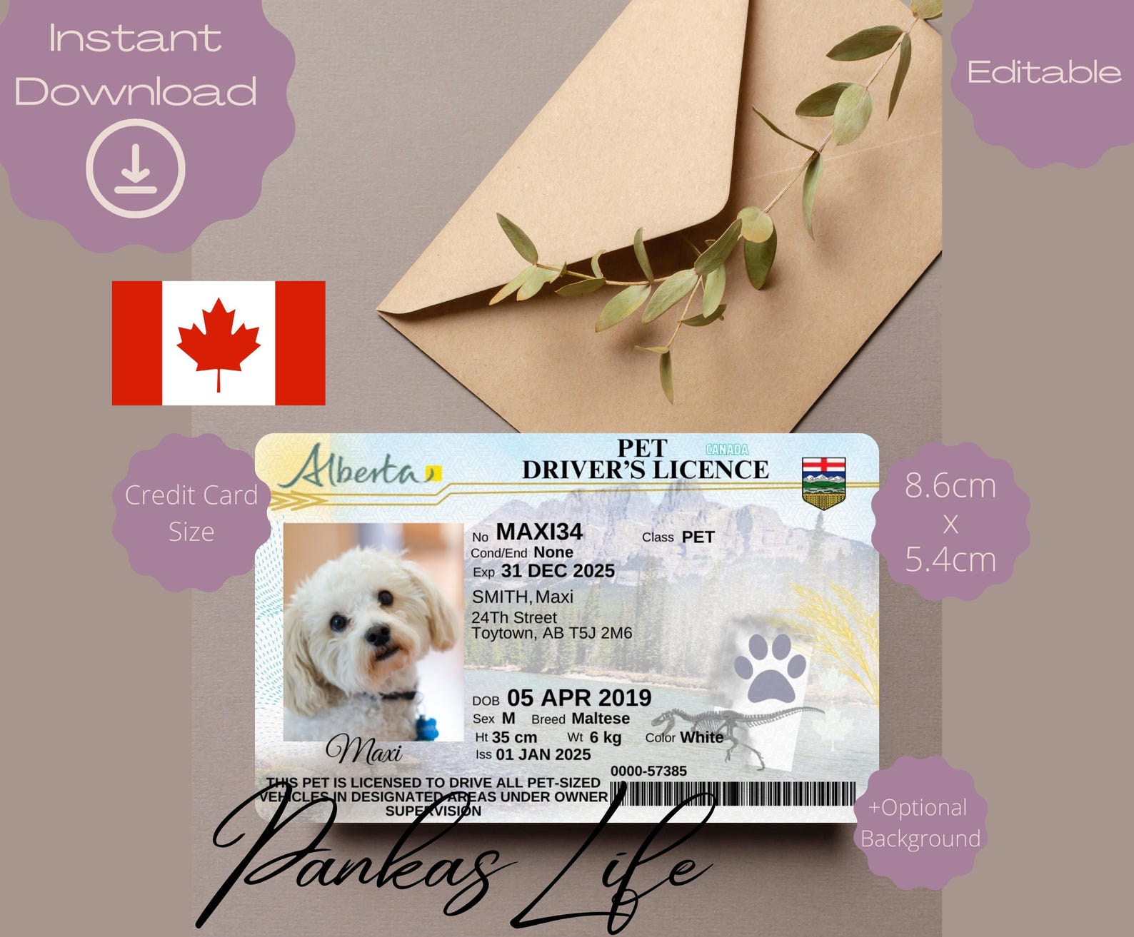 Editable Pretend Play Alberta Driver Licence for Pets Canada Driving ...