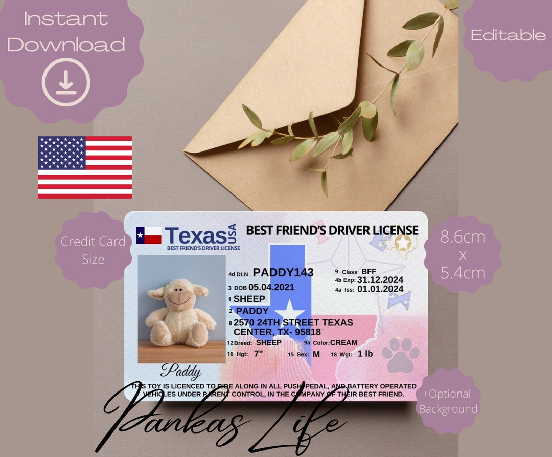 Teddy Bear Driver License Texas Travel Accesories Editable Pretend Play ...