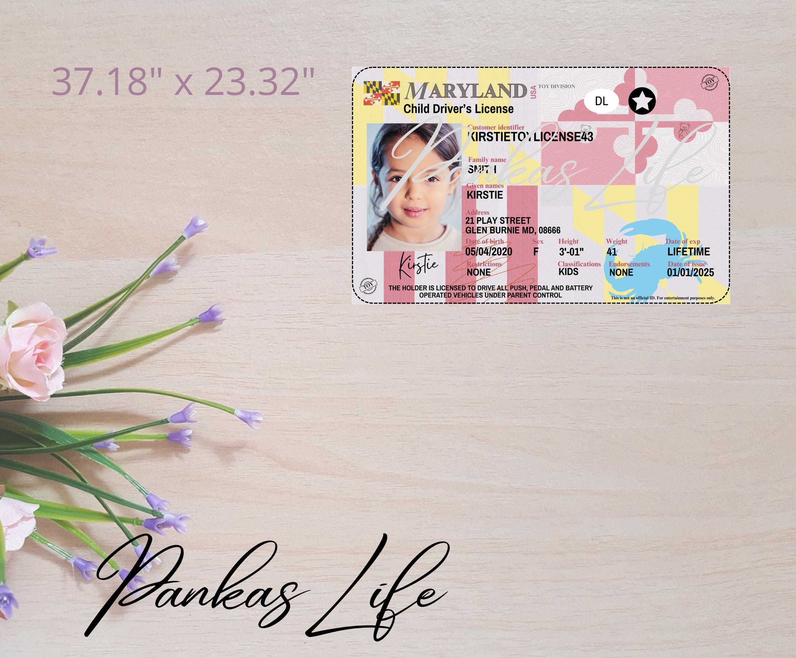 Maryland Driver License Poster for Kids, US Driving Licence Template ...