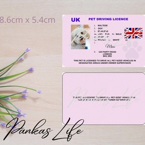Editable Pretend Play UK Driver Licence for Pets, Dog Toys, Printable ...