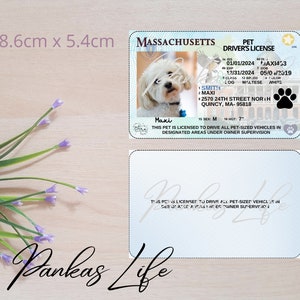 Editable Pretend Play Usa Driver License for Pets, Massachusetts ...