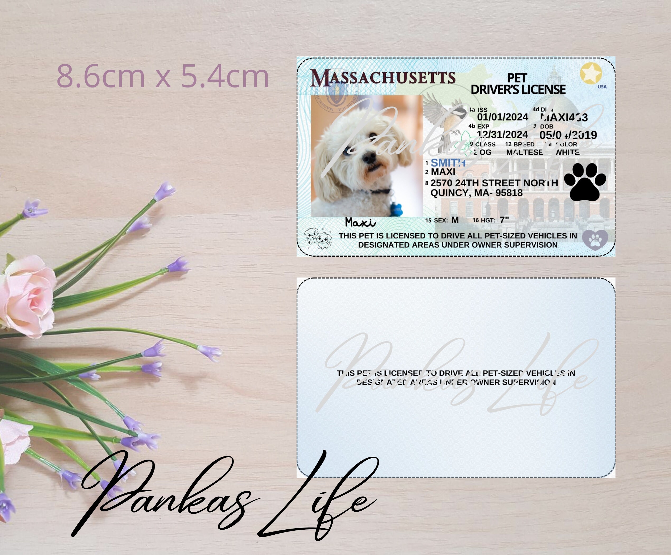 Editable Pretend Play Usa Driver License for Pets, Massachusetts ...