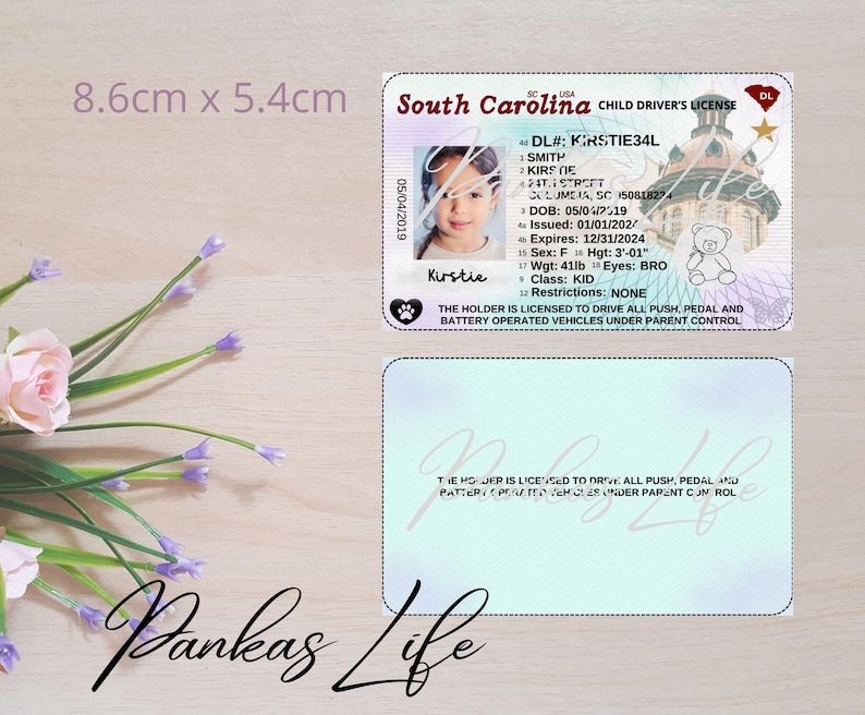 Pretend Play South Carolina Driver License for Kids, US Driving Licence ...