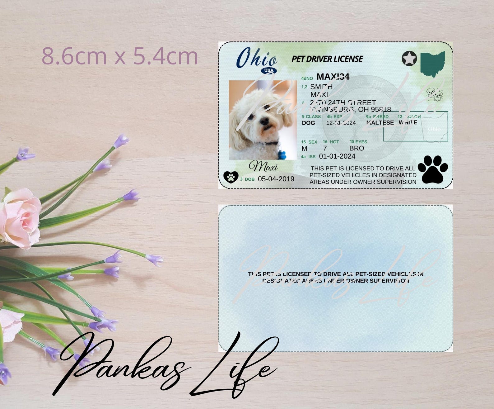 Editable Pretend Play Usa Driver Licence for Pets, Ohio Driving Licence ...