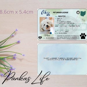 Editable Pretend Play Usa Driver Licence for Pets, Ohio Driving Licence ...