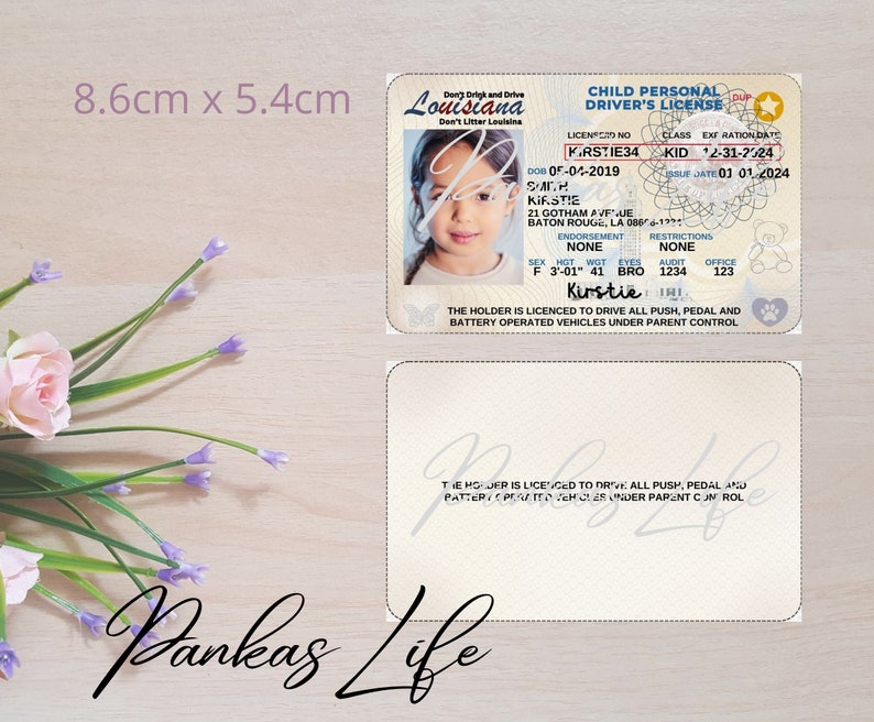 Pretend Play Usa Driver License for Kids, Louisiana Driving Licence ...
