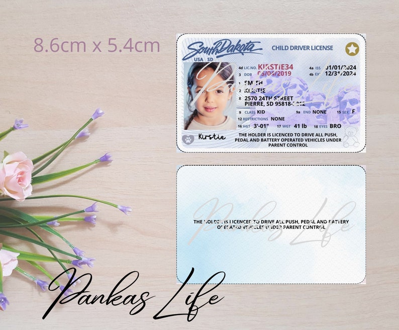 Pretend Play Usa Driver License for Kids, South Dakota Driving Licence ...