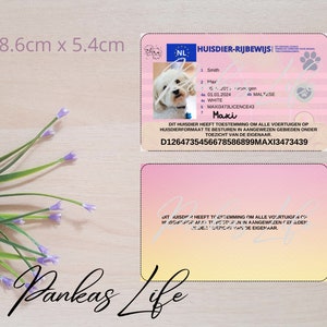 Editable Pretend Play Dutch Driver License for Pets, Netherland Driving ...