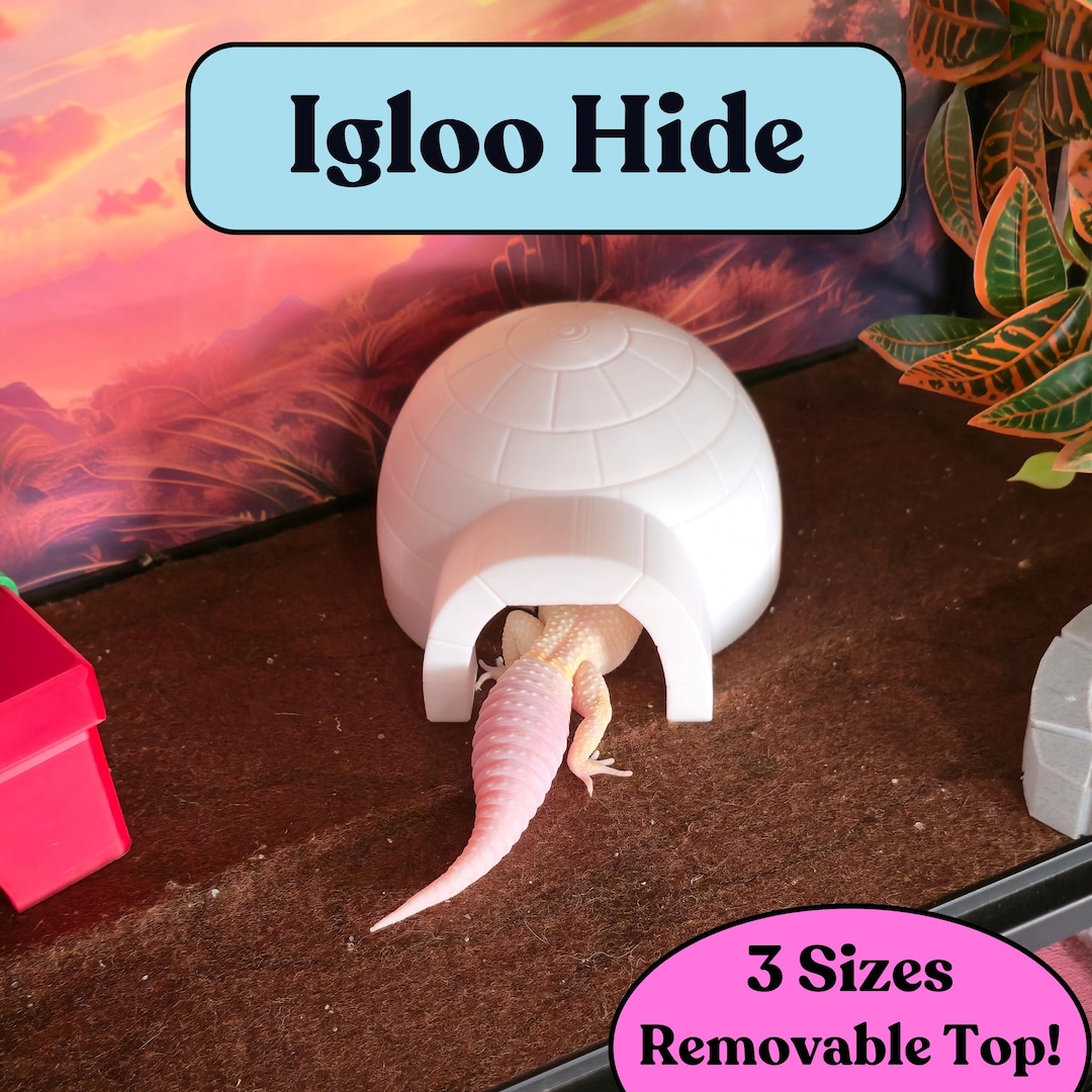 Snake Enrichment | Igloo Reptile Hide | Cozy Arctic-themed Terrarium ...