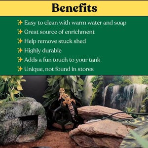 Leopard Gecko Jungle Gym: Climbing Enrichment for Reptile Terrarium - Etsy