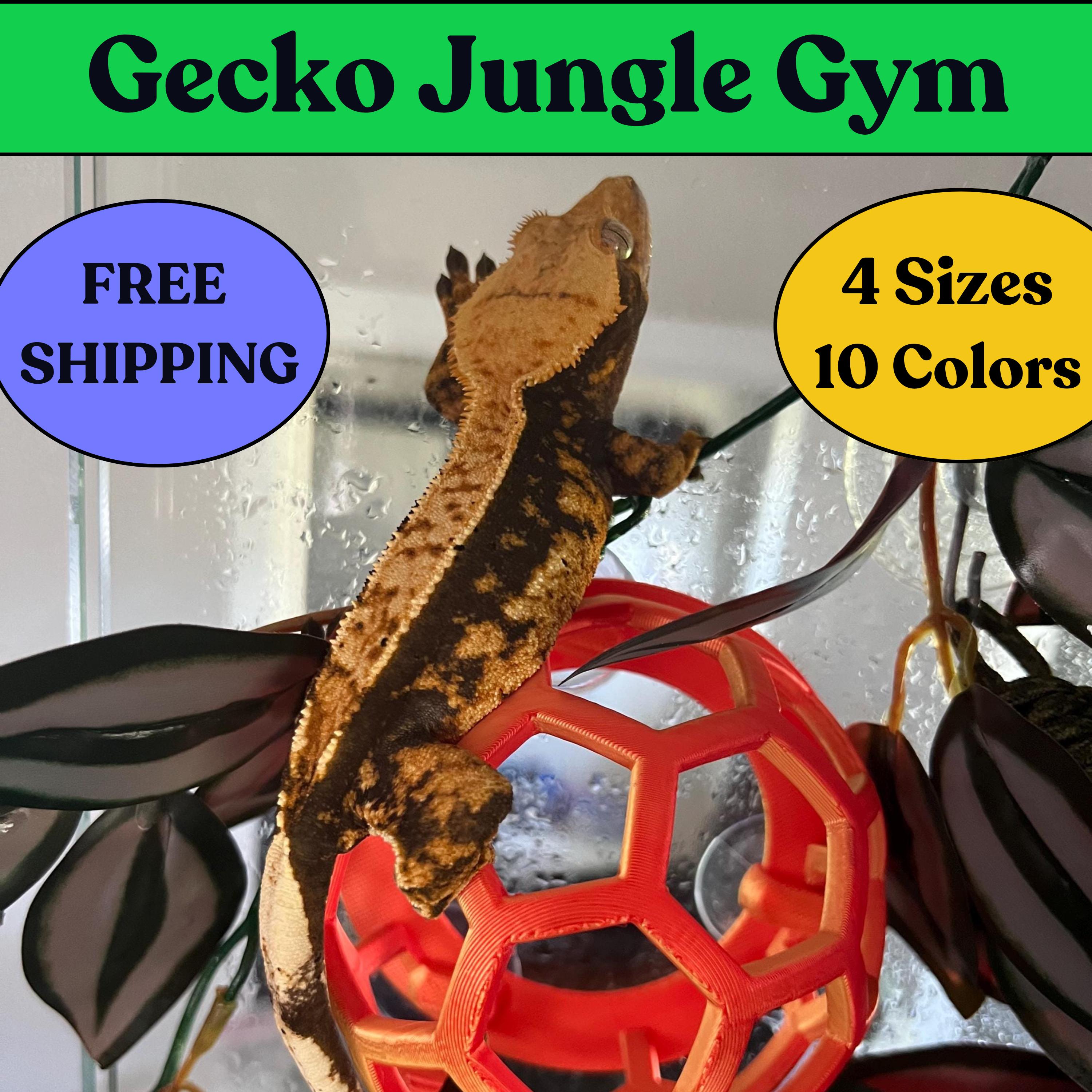 Crested Gecko Jungle Gym: Reptile Tank Climbing Enrichment - Etsy