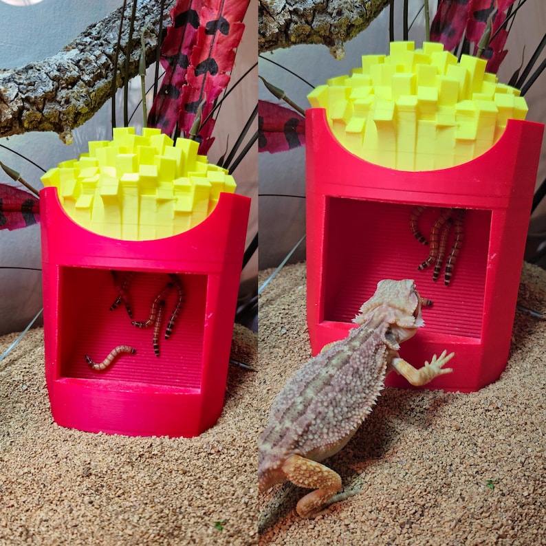Bug Feeder French Fry With Built in Calcium or Supplement Duster. - Etsy