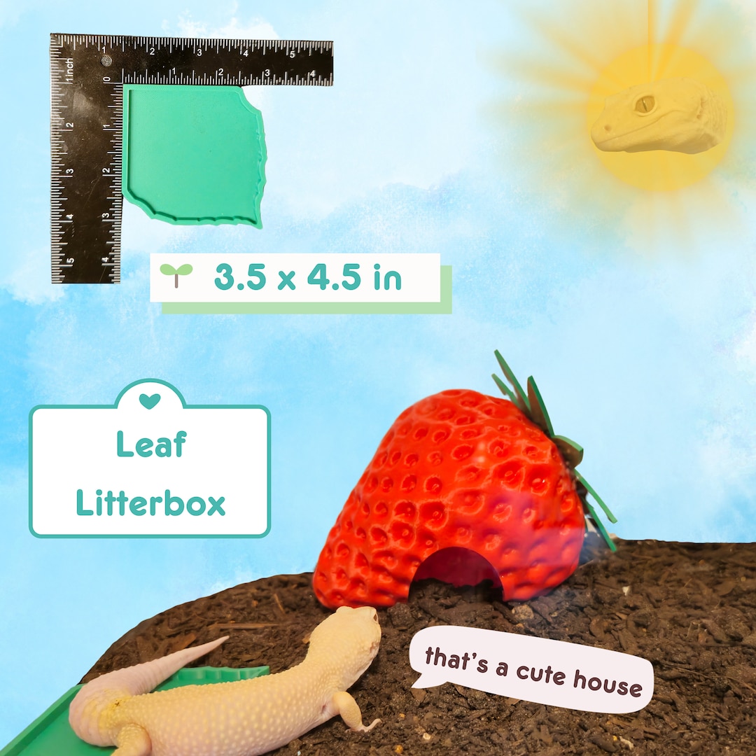 Litterbox for Leopard Gecko, Latrine, Potty Pad, Reptile, Fat Tailed ...