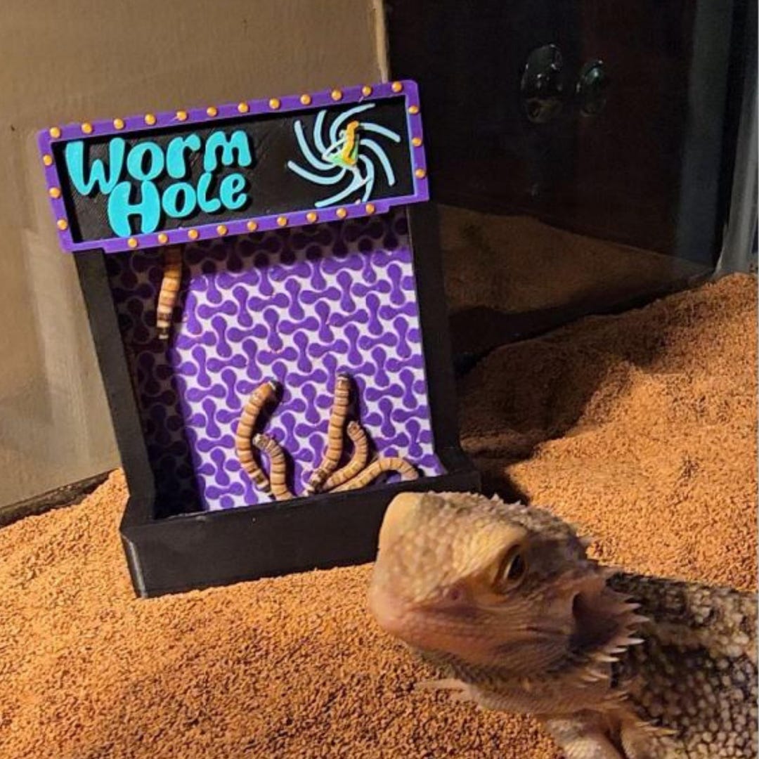 Wormhole Reptile Feeder Recessed Cut Bearded Dragon, Gecko, Chameleon ...