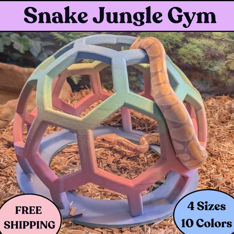 Reptile Enrichment Toys - Etsy