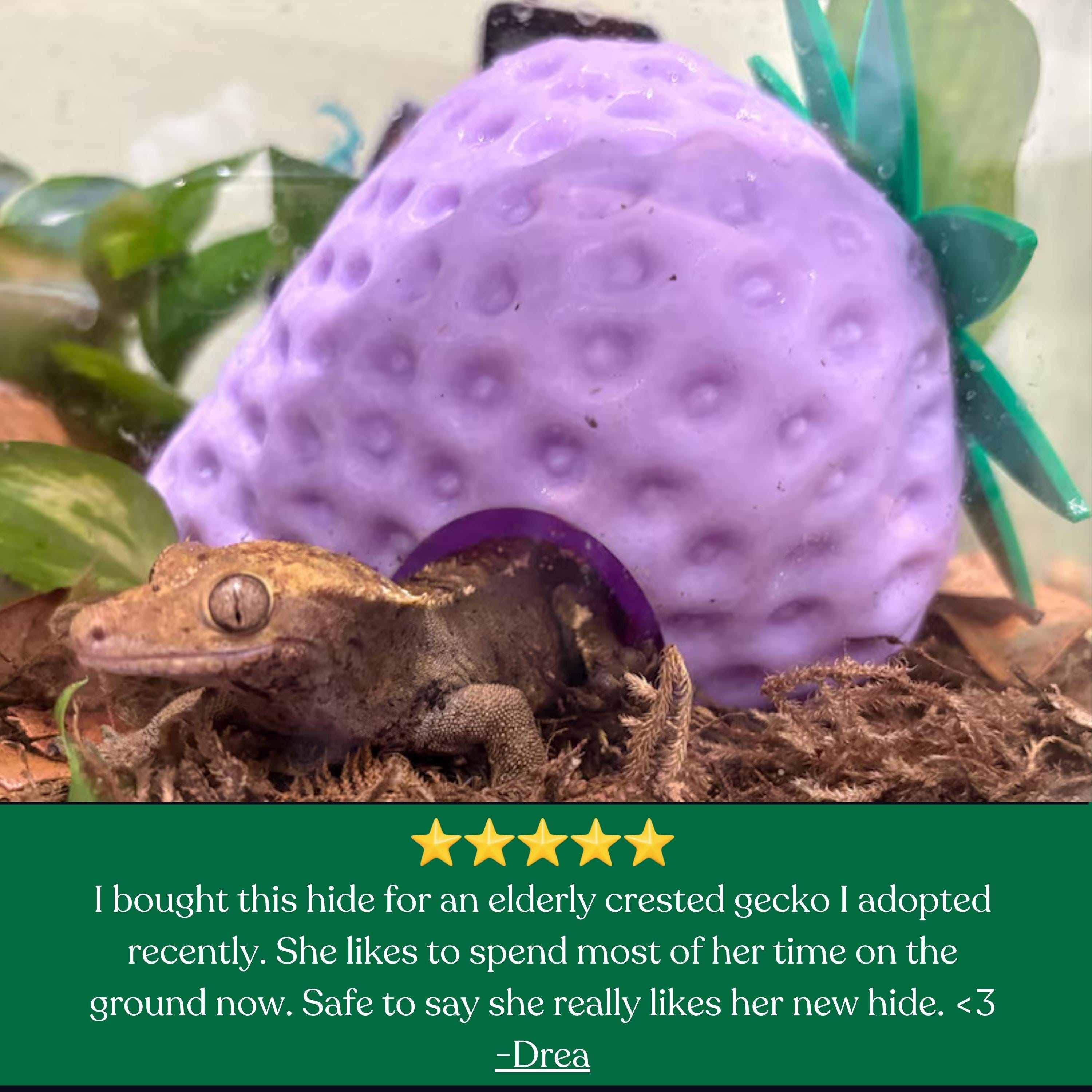 Leopard Gecko Hide Lemon : Reptile & Amphibian Functional Decor - Etsy