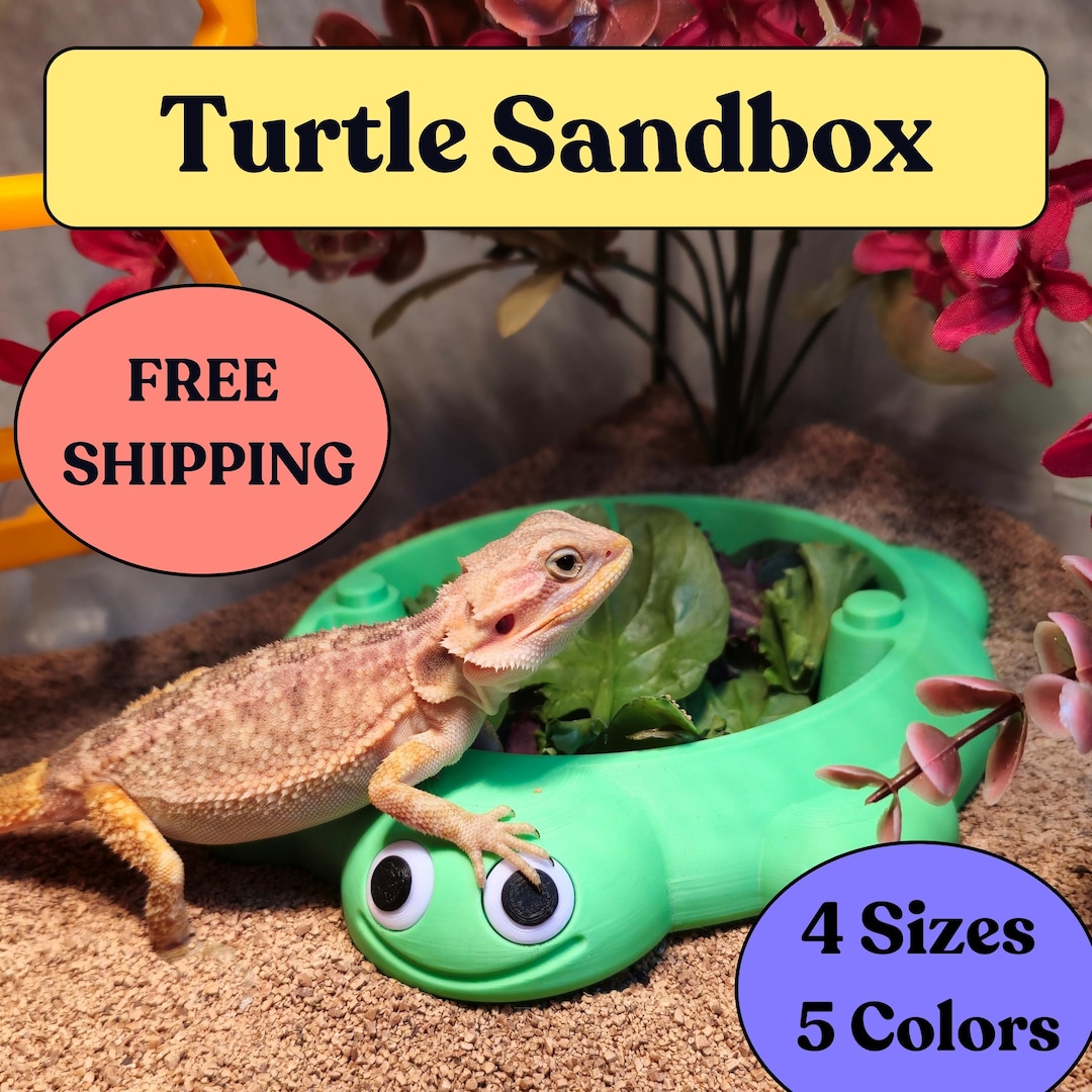 Bearded Dragon Dig Box: Turtle-inspired Hide & Food Dish - Etsy