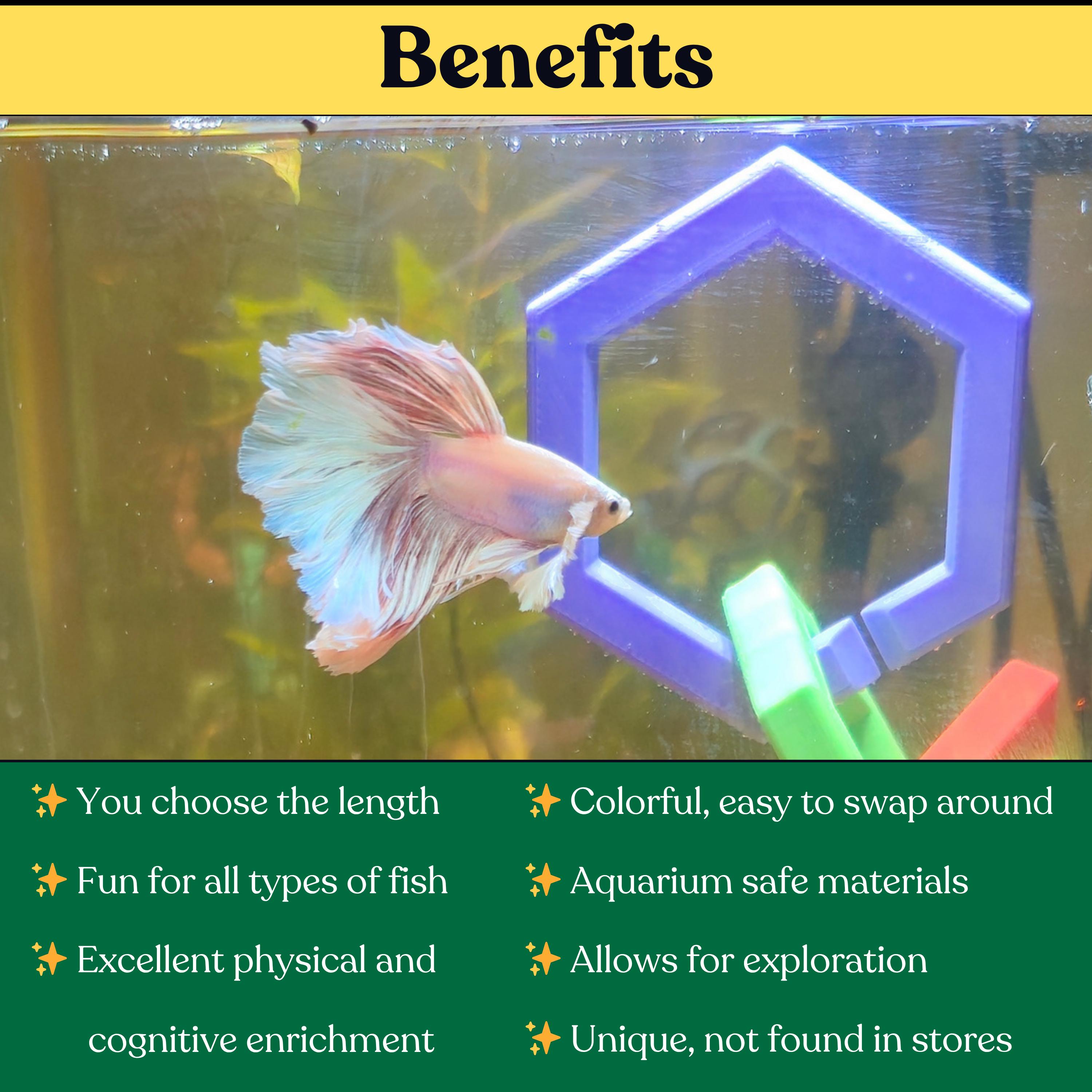 Aquarium Hex Links: Betta Fish Enrichment Climbing Gym - Etsy