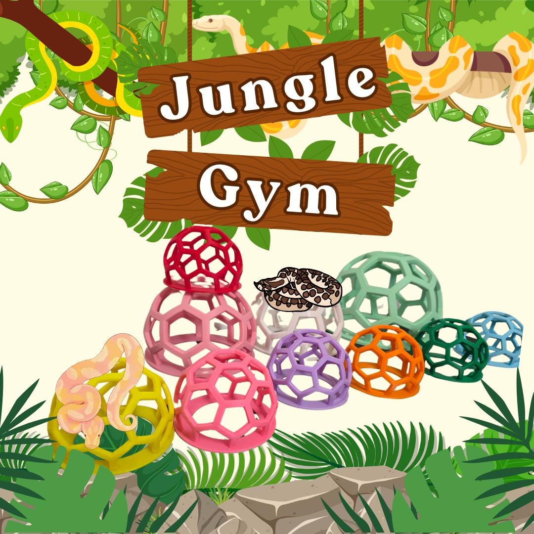 Corn Snake Accessories Ball Python Tank Accessory, Snake Enrichment ...