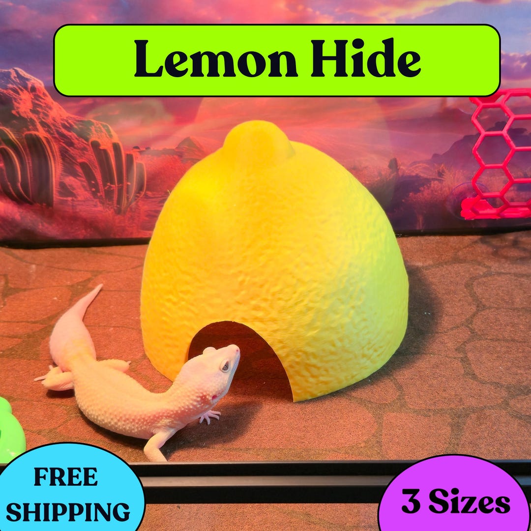 Leopard Gecko Hide Lemon : Reptile & Amphibian Functional Decor - Etsy