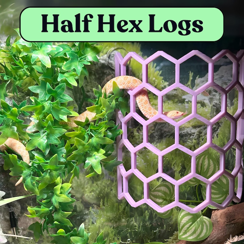 Snake Enclosure Climbing - Etsy