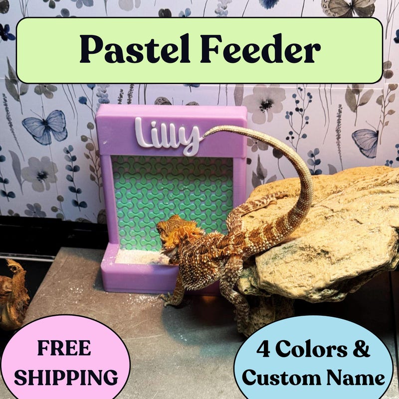Food Bearded Dragon - Etsy