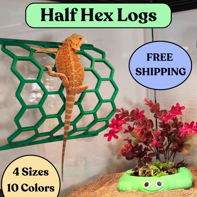 Terrarium Climbing Log - Etsy