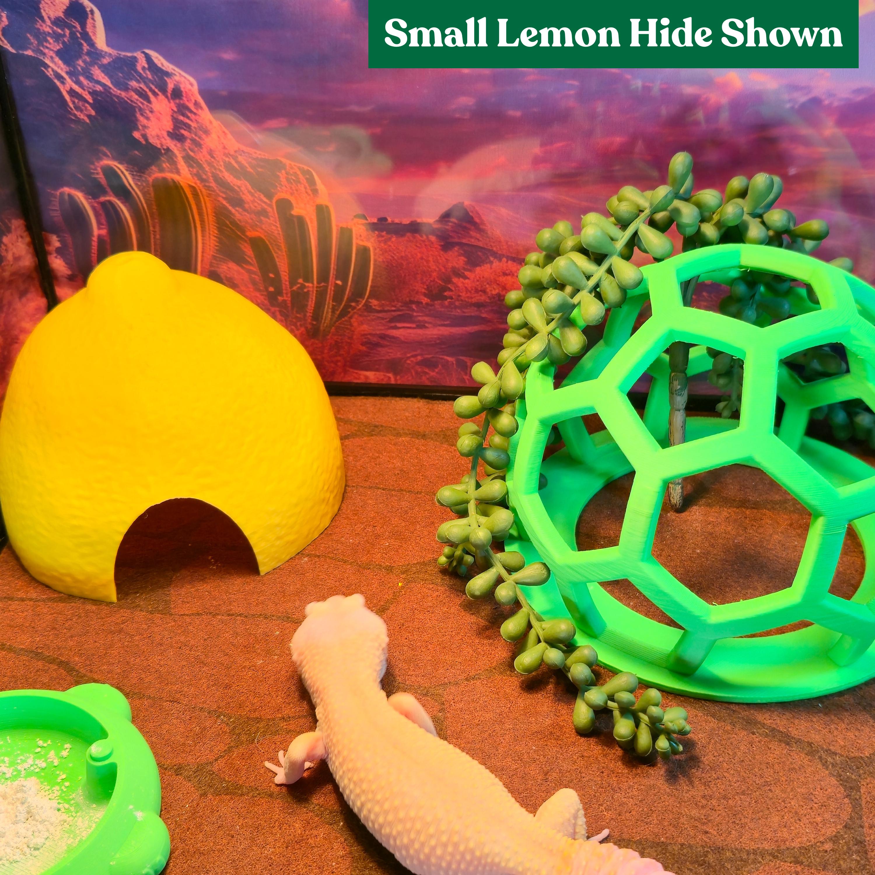 Leopard Gecko Hide Lemon : Reptile & Amphibian Functional Decor - Etsy