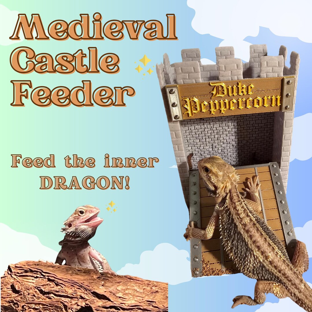 Custom Reptile Feeder, Bearded Dragon, Chameleon, Gecko, Feeder ...